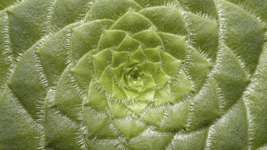 image-10 – UC Center for Public Engagement with Science